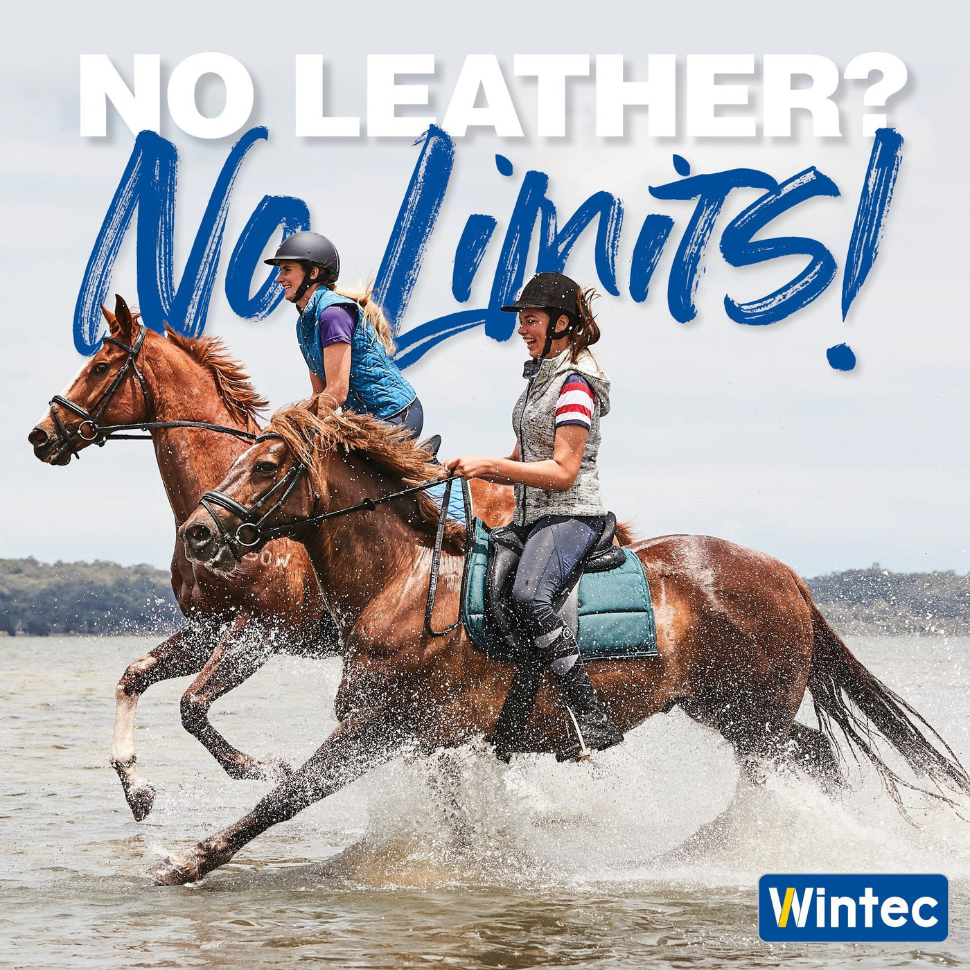 Wintec Riser Comfort Pad: your solution for more saddle clearance ...